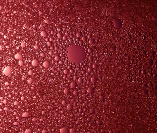 Knowledge - Blisters – HMG Powder Coatings